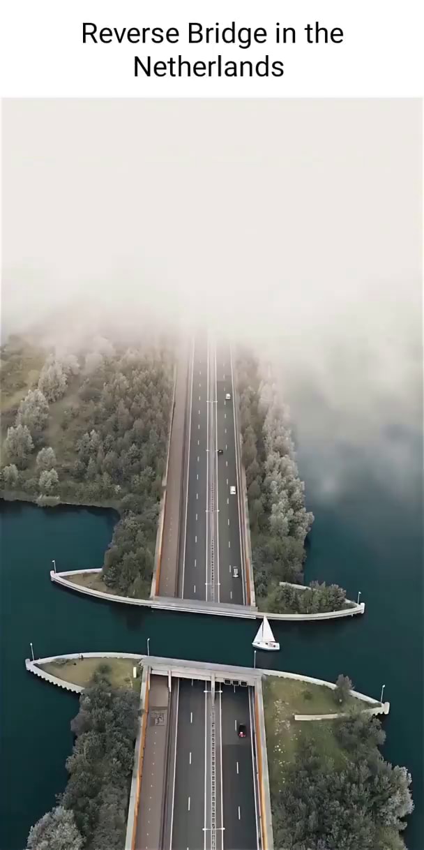 Reverse Bridge in the Netherlands - iFunny