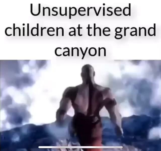 Unsupervised children at the grand canyon - iFunny