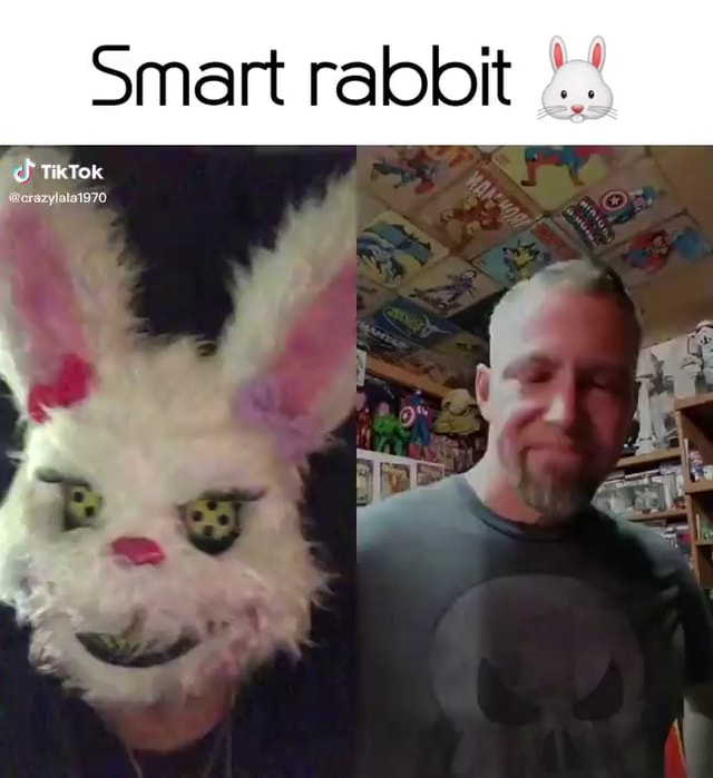 Smart rabbit - iFunny