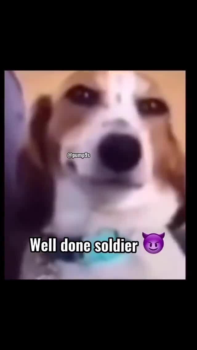 Well done soldier - iFunny