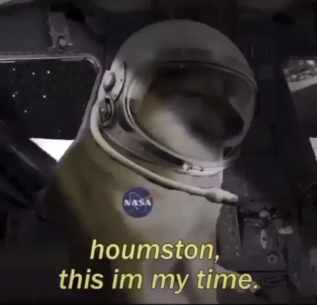 The tragic death of a hero: Cheems - iFunny