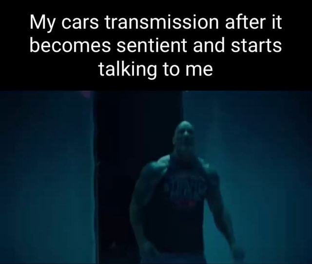 My cars transmission after it becomes sentient and starts talking to me ...