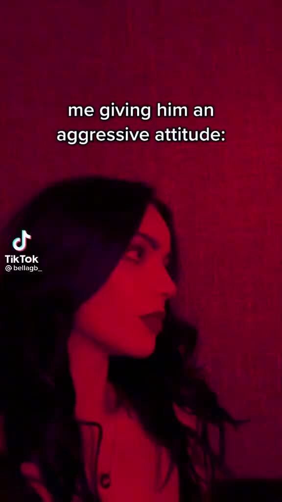 Me giving him an aggressive attitude: TikTok @bellagb_ - iFunny