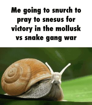 Me going to snurch to pray to snesus for victory in the mollusk vs ...