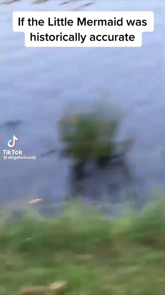 If the Little Mermaid was historically accurate TikTok @alligatorbundy ...