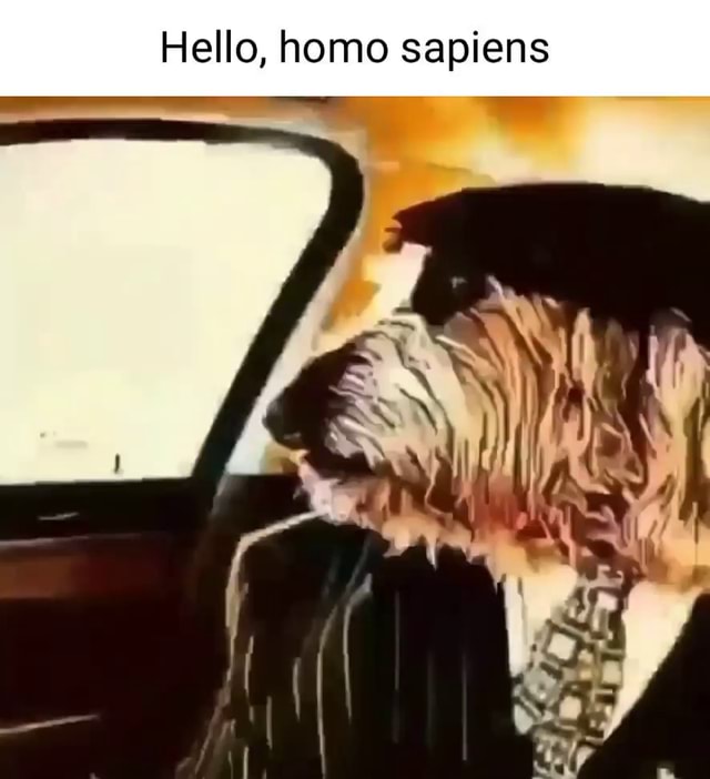 Hello, homo sapiens - iFunny