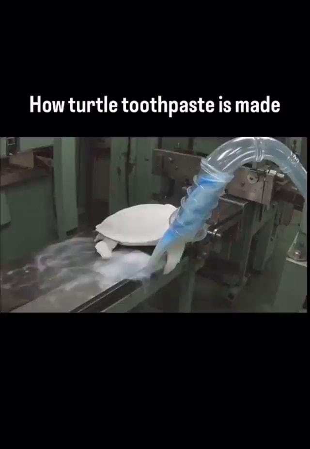 How turtle toothpaste is made - iFunny