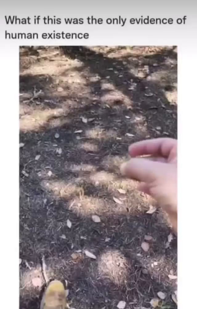 What if this was the only evidence of human existence - iFunny
