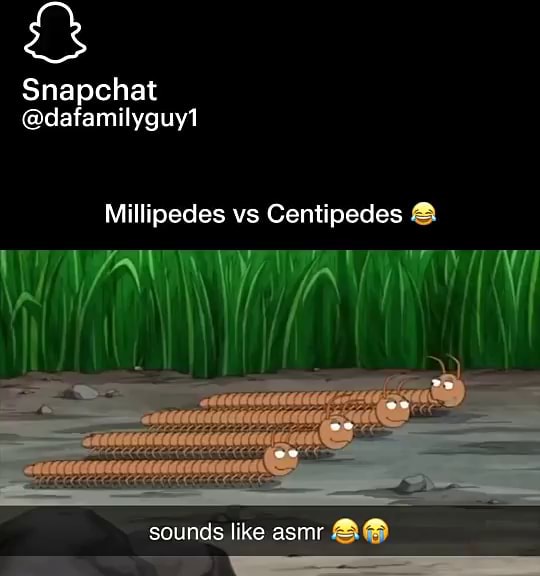 Snapchat @dafamilyguy1 Millipedes vs Centipedes & IA\ iW V/ Ni] sounds ...