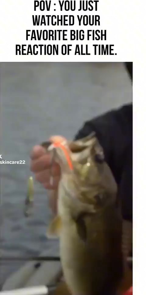POV: YOU JUST WATCHED YOUR FAVORITE BIG FISH REACTION OF ALL TIME ...