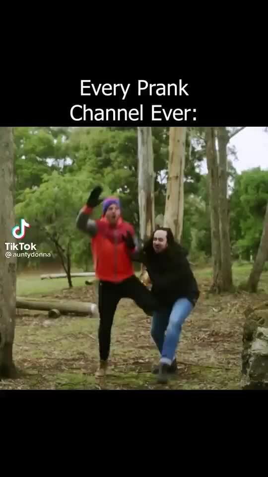 Every Prank Channel Ever: TikTok - iFunny