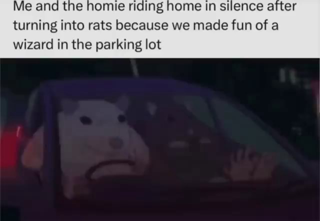 Ne! the homie riding home in silence after turning into rats because we ...