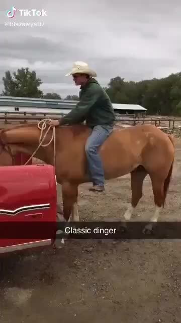 Classic dinger - iFunny