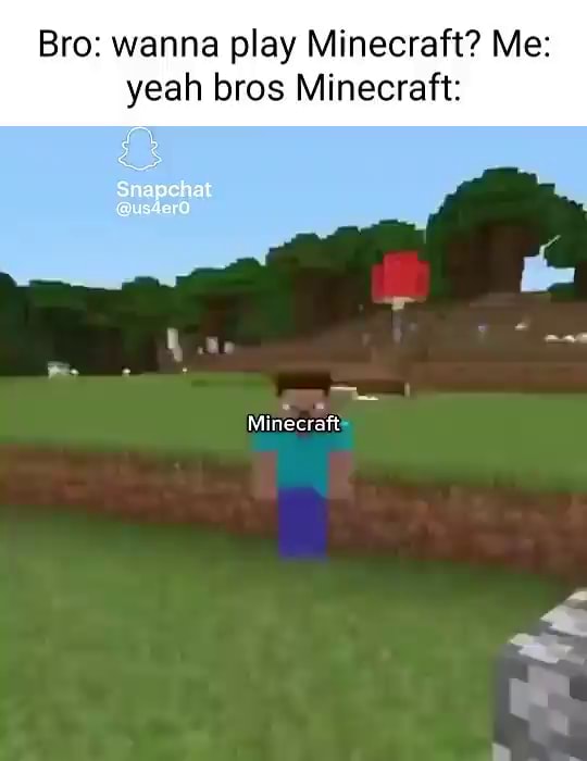 Bro: wanna play Minecraft? Me: yeah bros Minecraft: Snapenat Minecraft ...