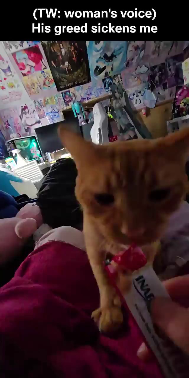 (TW: woman's voice) His greed sickens me val - iFunny