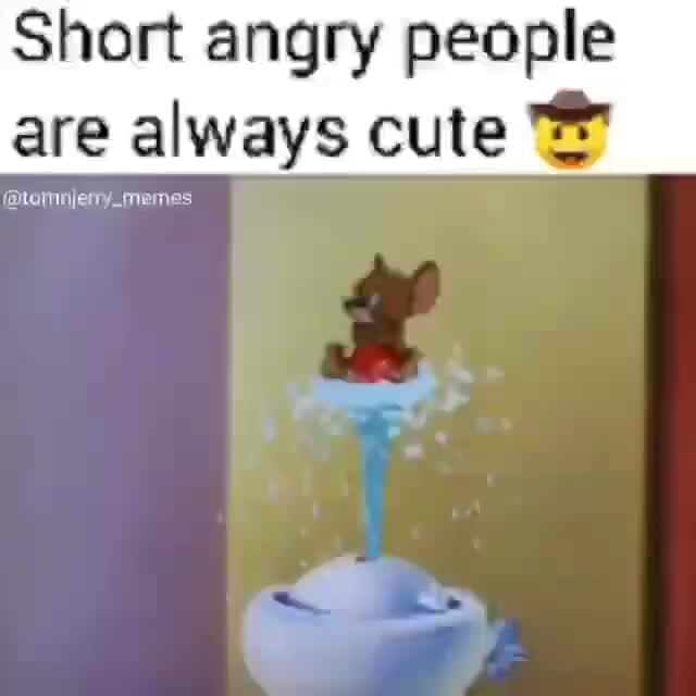 Short angry people are always cute - iFunny
