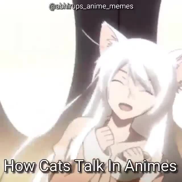 PS_anime_memes How Cats Talk In Animes - iFunny