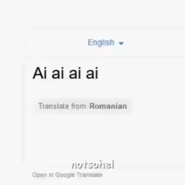 Translate from Romanian Open in Googie Translate - iFunny