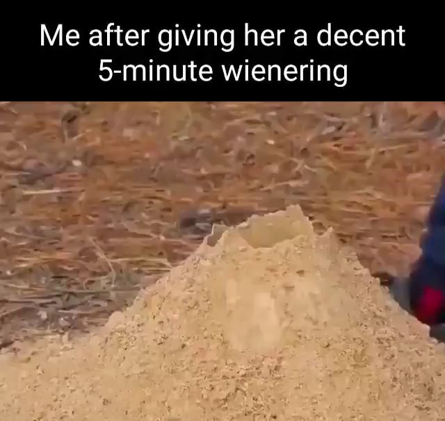 Me after giving her a decent 5-minute wienering - iFunny