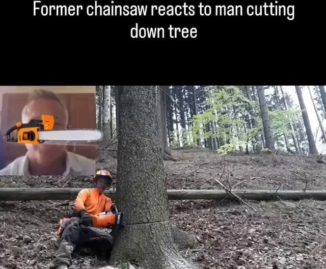 Former chainsaw reacts to man cutting down tree - iFunny