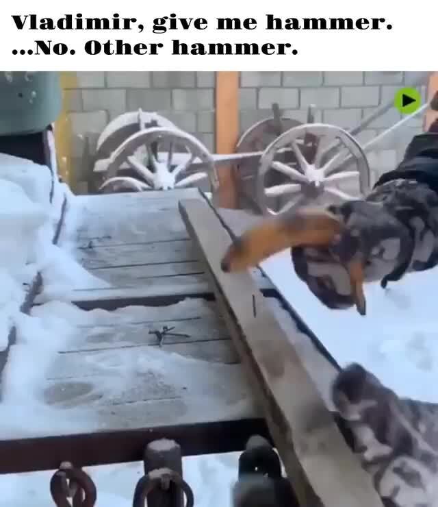 Vladimir, give me hammer. No. Other hammer. - iFunny