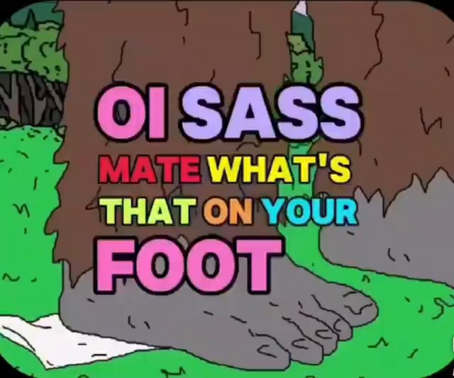 Ol SASS MATE WHAT' S THAT ON: YOUR FOOT: - iFunny