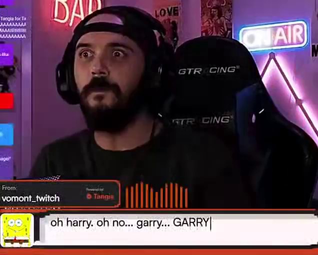 From vomont_twitch oh harry. oh arry... GARRY - iFunny
