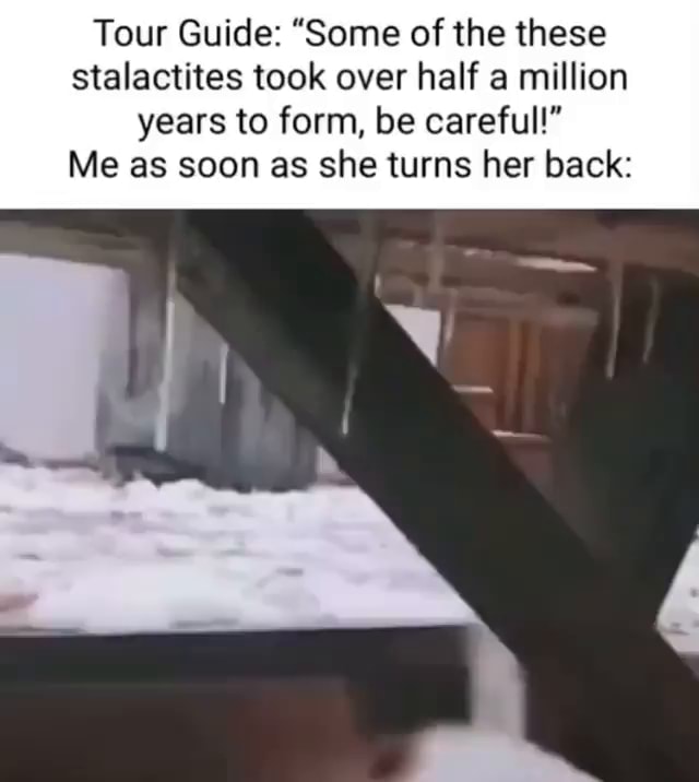 Tour Guide: "Some of the these stalactites took over half a million ...