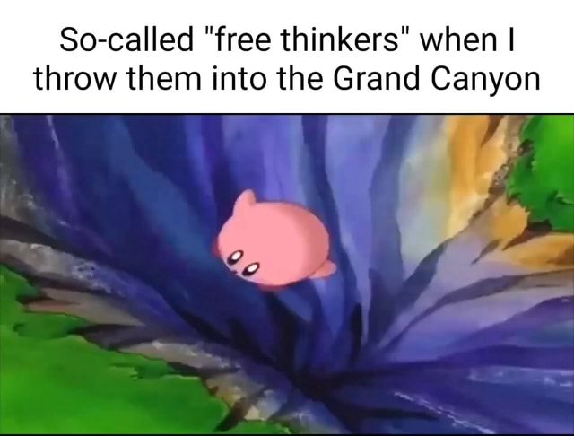 So-called "free thinkers" when I throw them into the Grand Canyon - iFunny