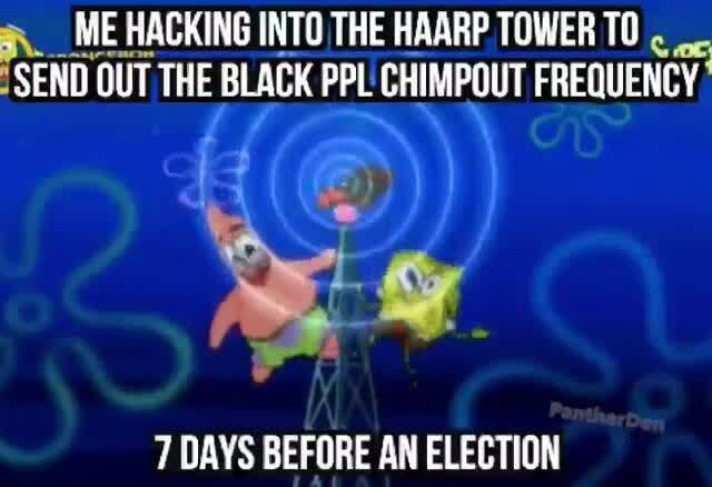ME HACKING INTO THE HAARP TOWER TO SEND OUT THE BLACK PPL CHIMPOUT ...