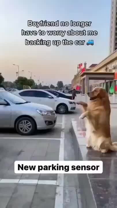 No longar have to womy abou ma badding up the car New parking sensor ...