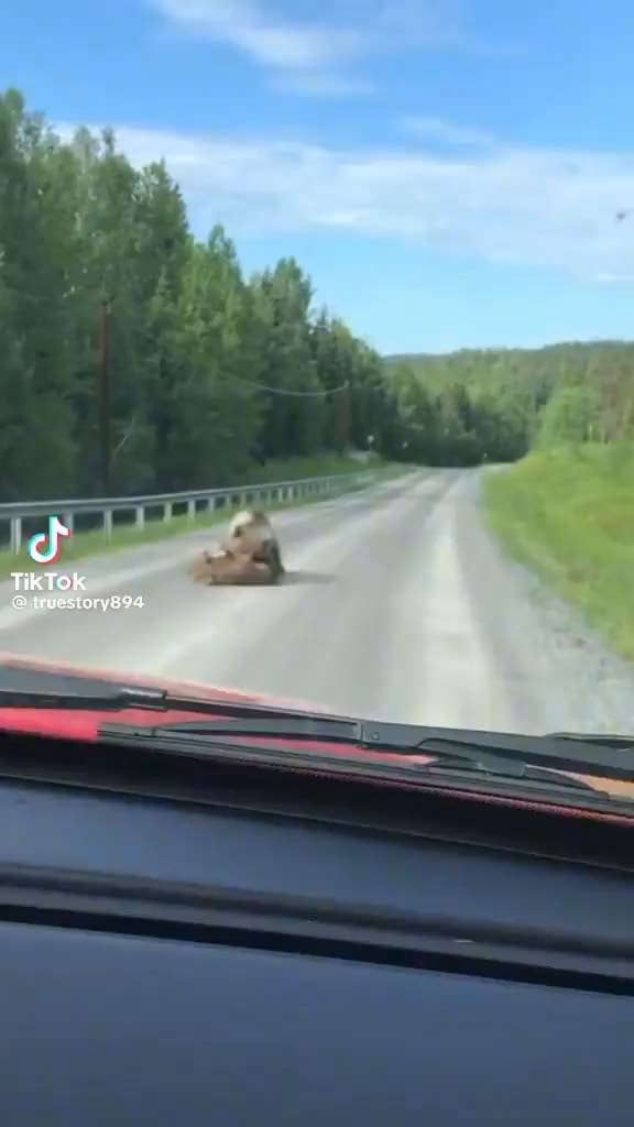 Video memes z0VfJZZwA by THE_PSYCHO_WOLF_: 0.8K comments - iFunny