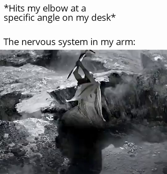 *Hits my elbow at a specific angle on my desk* The nervous system in my ...