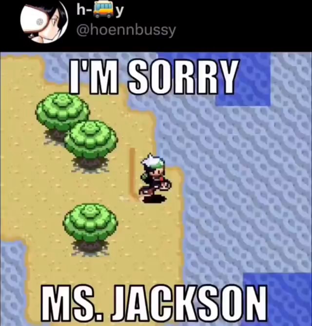 I'M SORRY MS. JACKSON - iFunny