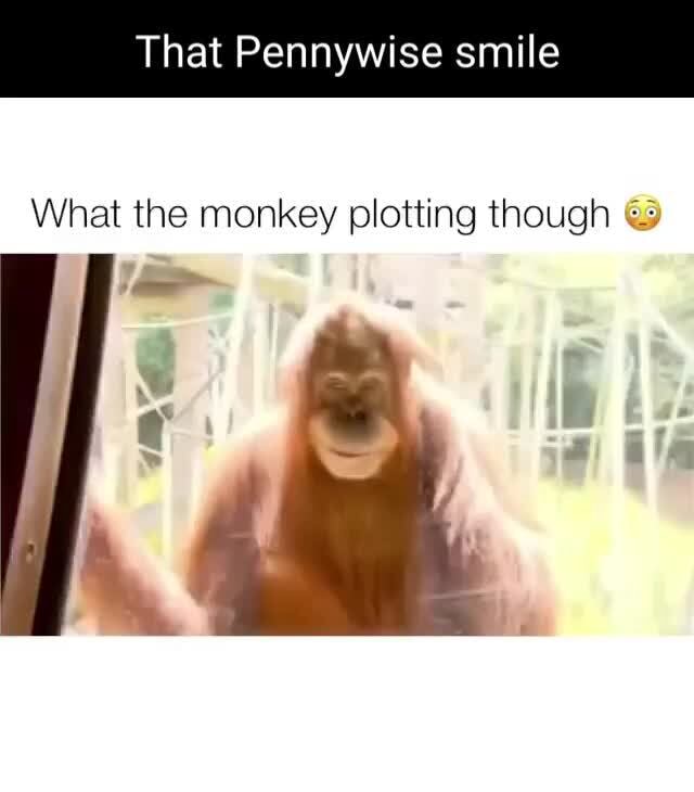 That Pennywise smile What the monkey plotting though - iFunny