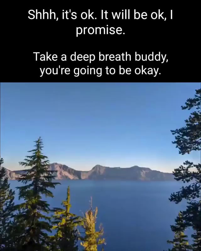 Shh, it's ok. It will be ok, I promise. Take a deep breath buddy, you ...