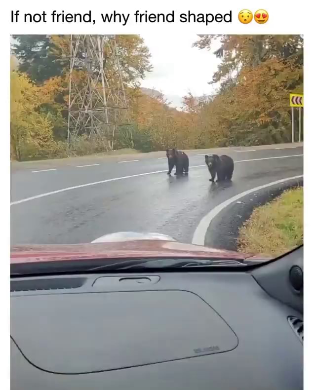 If not friend, why friend shaped We - iFunny