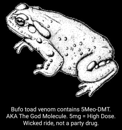 Bufo Toad Venom Contains Smeo Dmt Aka The God Molecule Smg High Dose