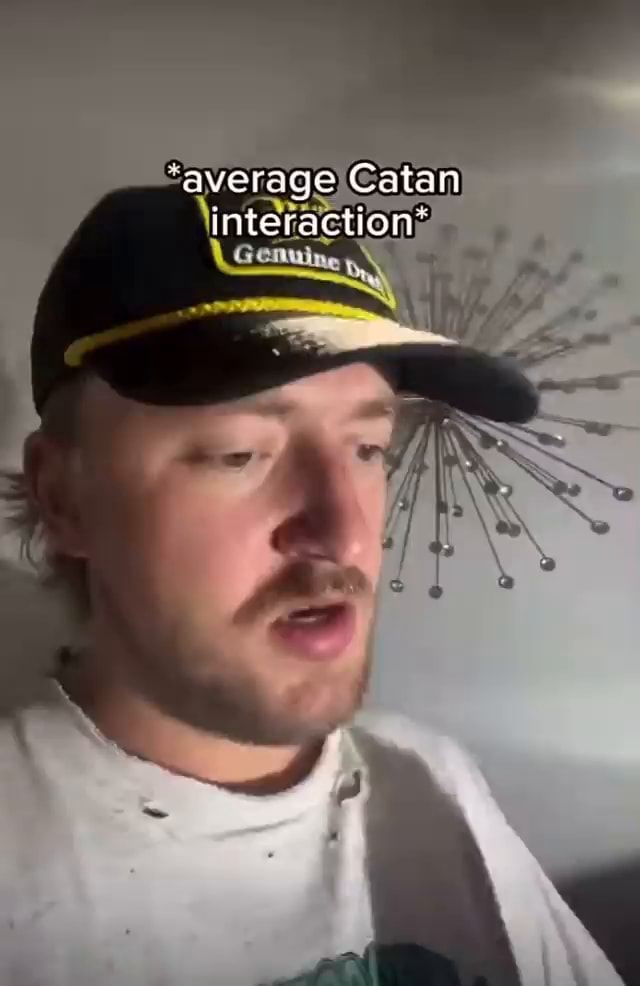 'average Catan interaction' - iFunny