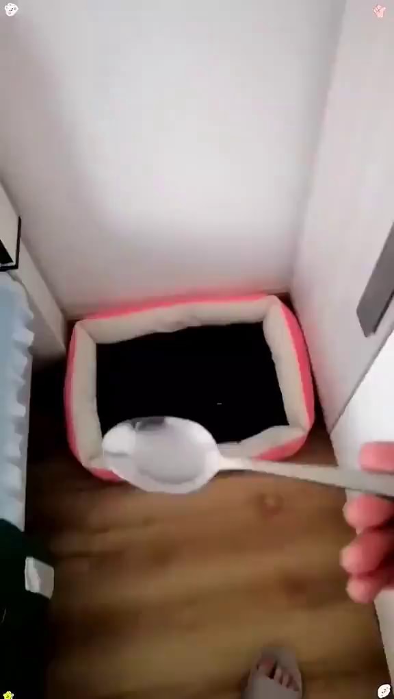 Feeding the void - iFunny