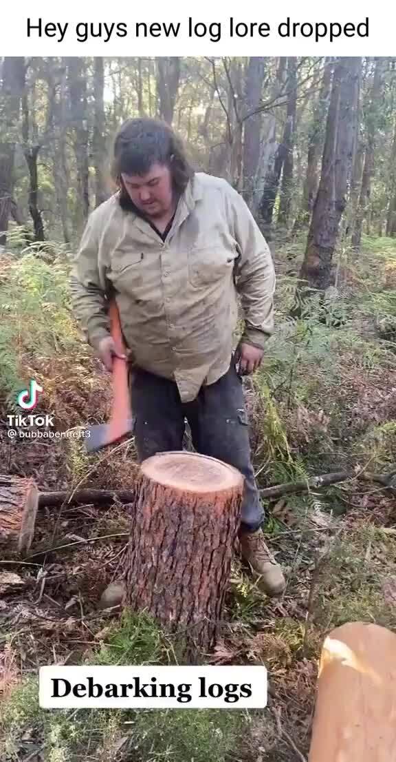 Hey guys new log lore dropped le cf TKR TTOK - iFunny
