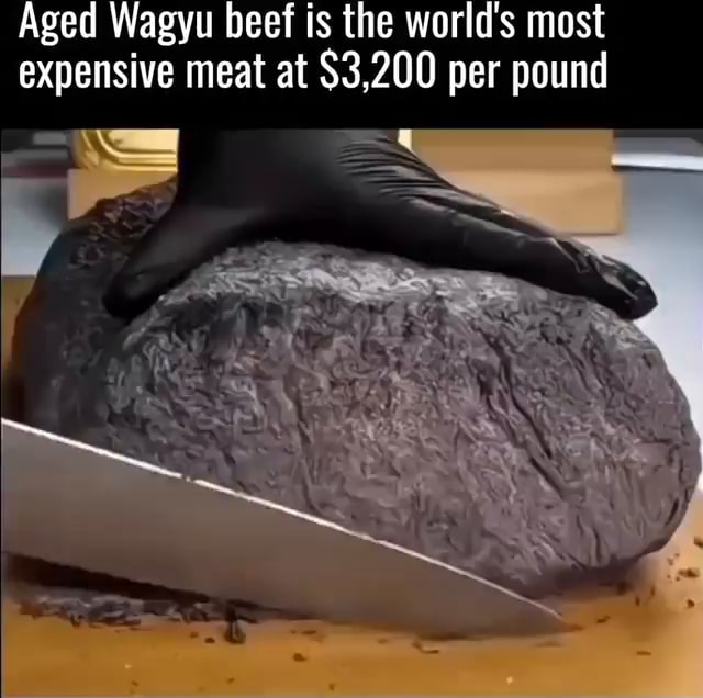 Aged Wagyu beef is the world's most expensive meat at $3,200 per pound ...