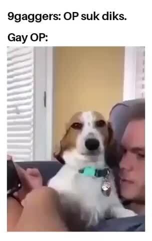 9gaggers: OP suk diks. Gay OP: - iFunny