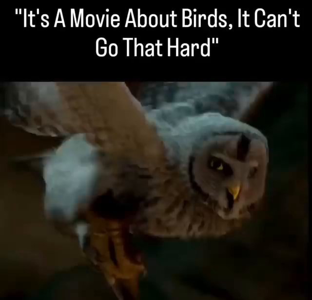 "It's A Movie About Birds, It Can't Go That Hard" - iFunny