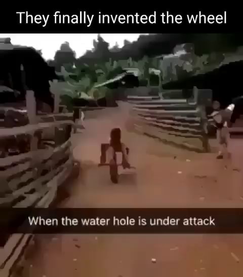 They finally invented the wheel When the water hole is under attack ...