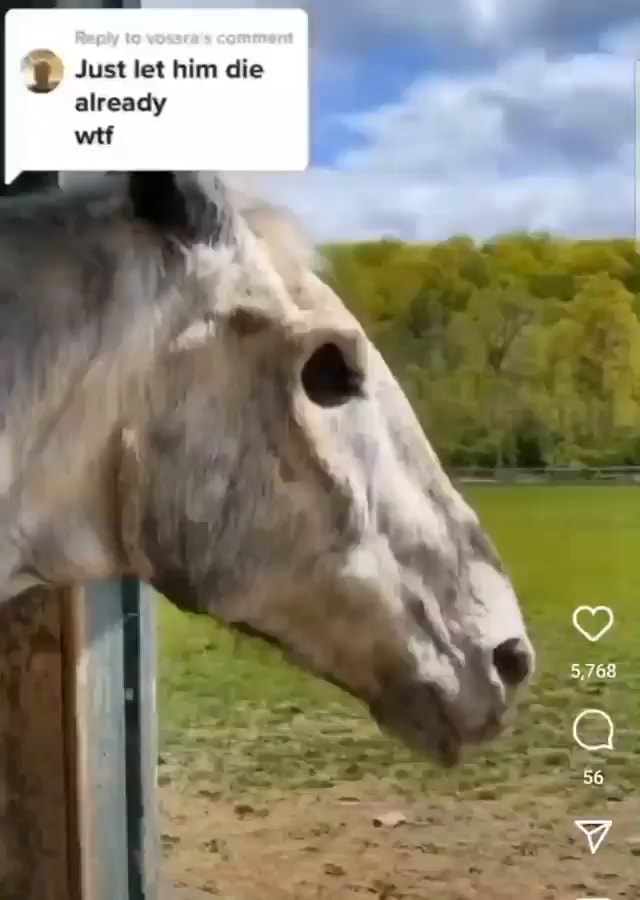 Just let him die already - iFunny