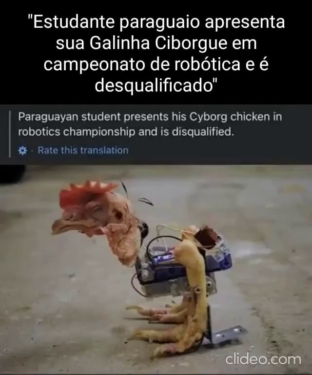 "Estudante paraguaio apresenta sua Galinha Ciborgue em campeonato de ...