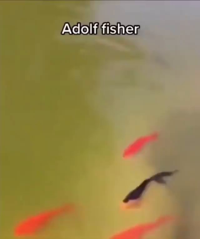 Adolf fisher - iFunny