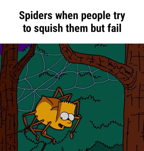 Yes!!!!!!! - Spiders when people try to squish them but fail - iFunny