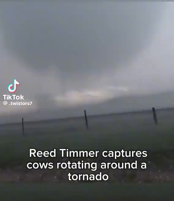 TikTok twistors? Reed Timmer captures cows rotating around a tornado ...